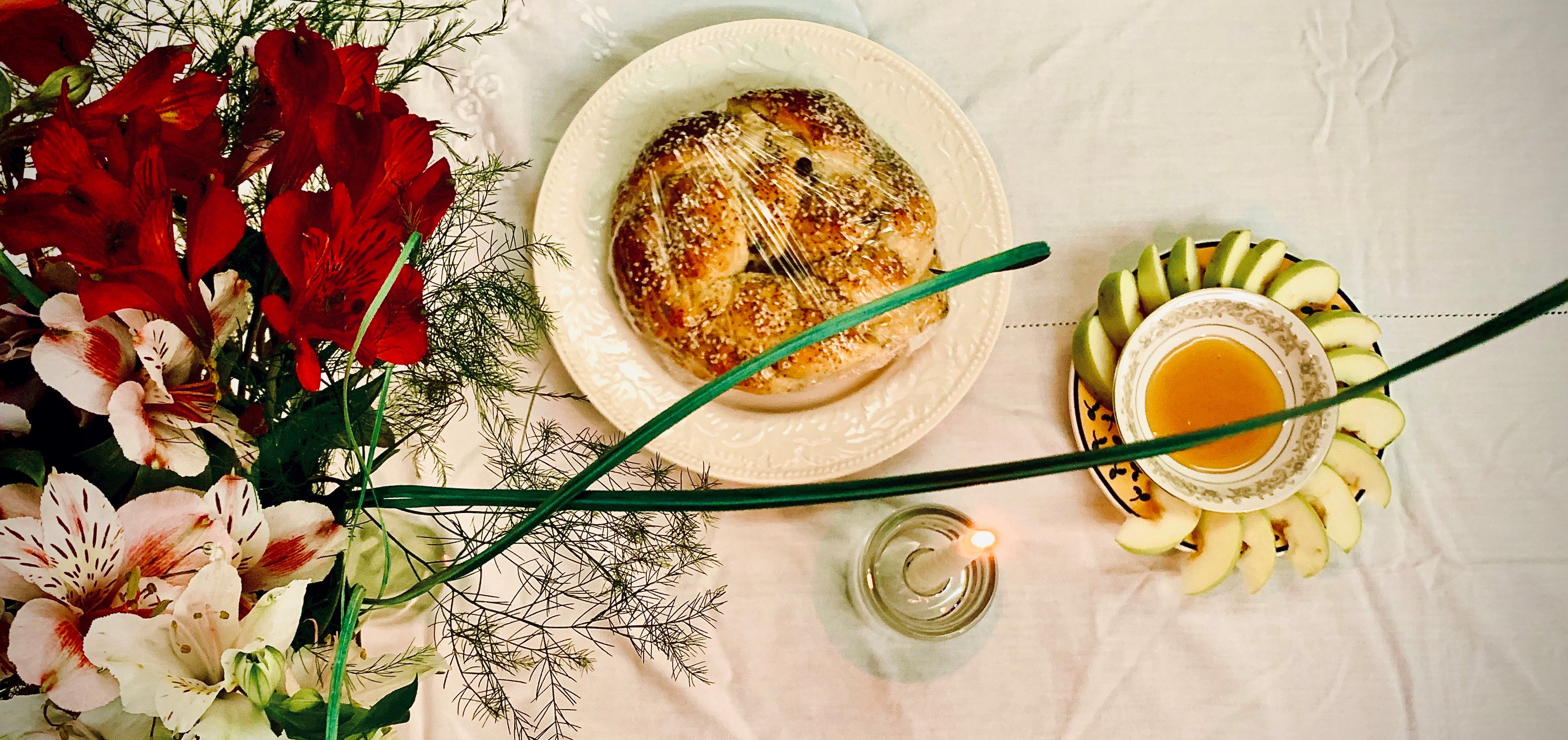 Jewish & Proud - World Jewish Congress